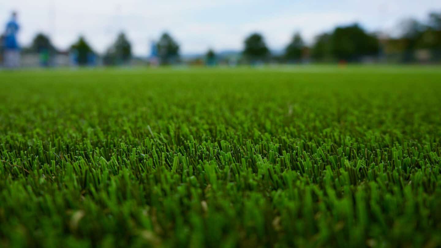 Sport 13mm - Artificial Grass Guru